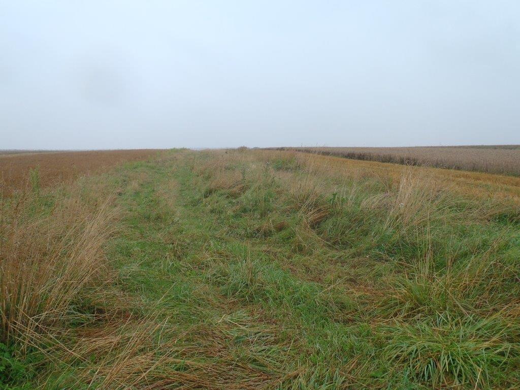 Komornik Sądowy przy Sądzie Rejonowym w Grójcu Robert Sienkiewicz ...